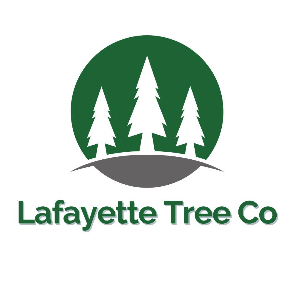 Best Time To Remove Trees - Tree removal Service - Lafayette LA ...